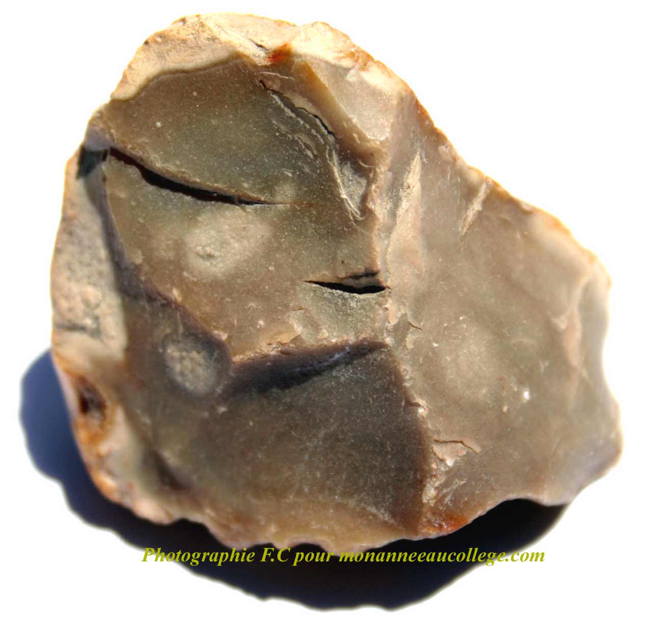 Pierres, roches – Aquariophile facile, en eau douce et marine.